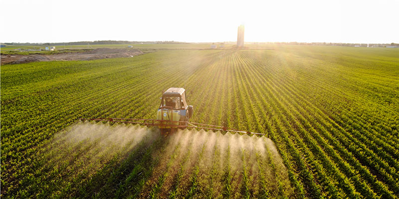 Цинк для растений: польза и применение — ASM-AGRO